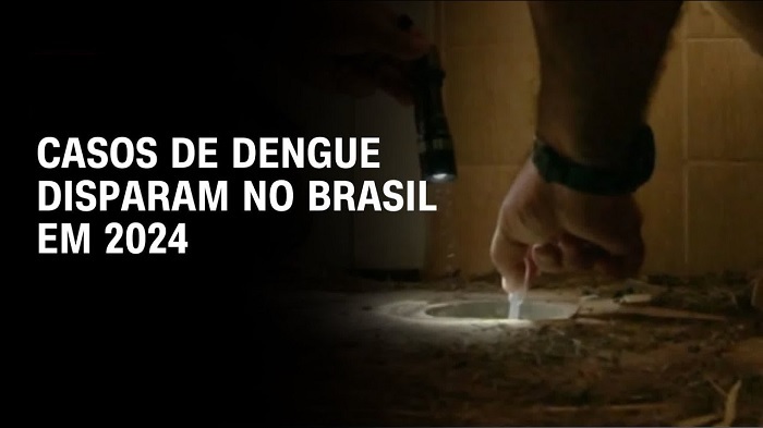 País Registrou Nas Três Primeiras Semanas De 2024 12 Mortes Por